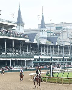 Street Band - Horse Profile - BloodHorse