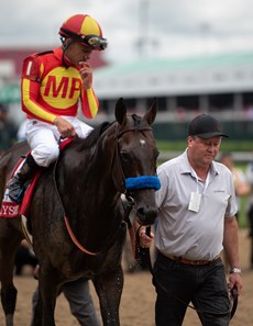 McKinzie - Horse Profile - BloodHorse