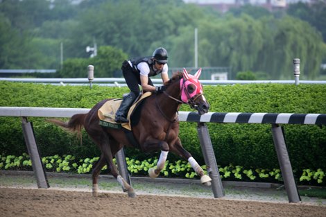 Master Fencer Helping to Bridge U.S., Japanese Racing - BloodHorse