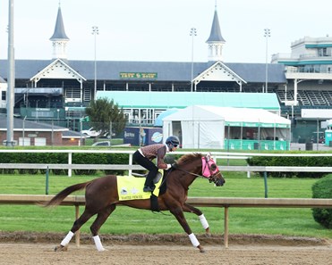Master Fencer (JPN) - Horse Profile - BloodHorse