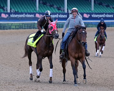 Master Fencer (JPN) - Horse Profile - BloodHorse