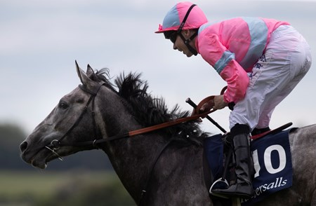 Phoenix of Spain (IRE) - Horse Profile - BloodHorse