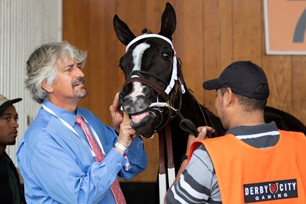 Barnes - Horse Profile - BloodHorse