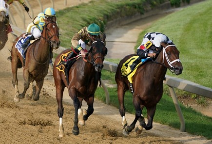 Mylady Curlin - Horse Profile - BloodHorse
