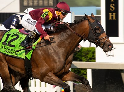 Catholic Boy - Horse Profile - BloodHorse