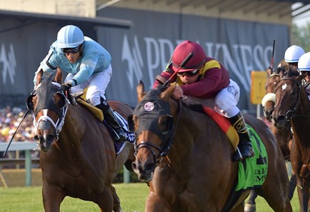 Catholic Boy - Horse Profile - BloodHorse