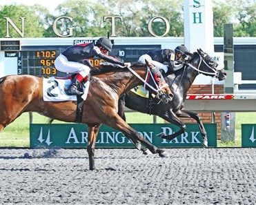 The Tabulator - Horse Profile - BloodHorse