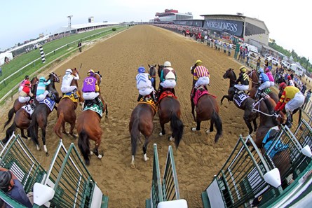 Preakness Stakes 144 - Slideshow - BloodHorse