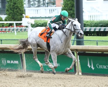 Cause I'm Edgy - Horse Profile - BloodHorse