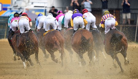 Preakness Stakes 144 - Slideshow - BloodHorse