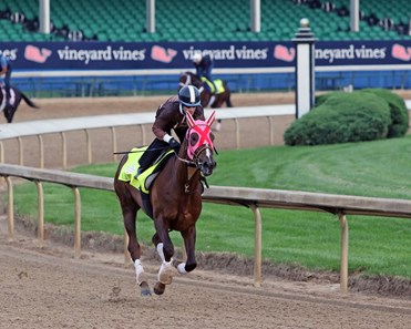Master Fencer (JPN) - Horse Profile - BloodHorse