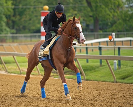 Preakness Favorite Improbable Takes to Track at Pimlico - BloodHorse