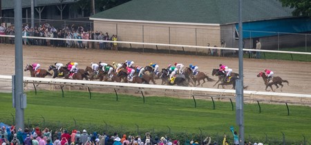 Country House - Horse Profile - BloodHorse