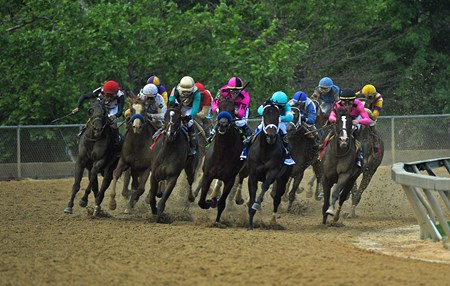 Preakness Stakes 144 - Slideshow - BloodHorse
