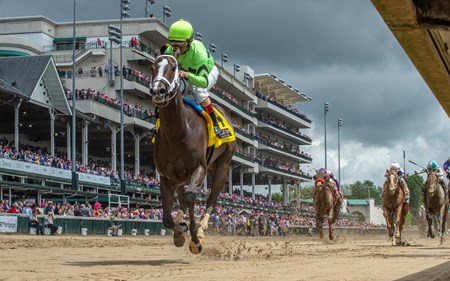 Eight Belles - Horse Profile - BloodHorse