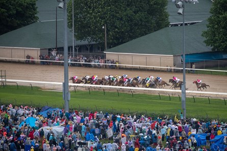 Country House - Horse Profile - BloodHorse