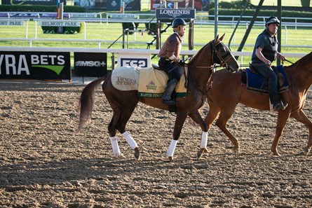 Master Fencer (JPN) - Horse Profile - BloodHorse