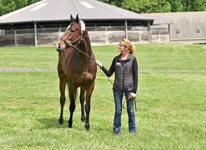 Alwaysmining - Horse Profile - BloodHorse