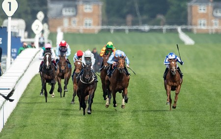 Dee Ex Bee (GB) - Horse Profile - BloodHorse