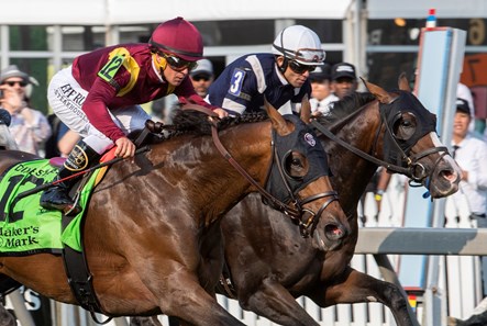 Catholic Boy - Horse Profile - BloodHorse