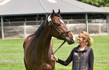 Chasing a Dream Leads Rubley to the Triple Crown - BloodHorse