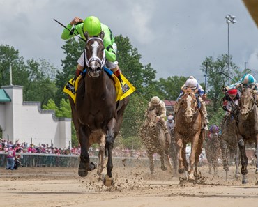 Eight Belles - Horse Profile - BloodHorse