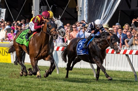 Catholic Boy - Horse Profile - BloodHorse