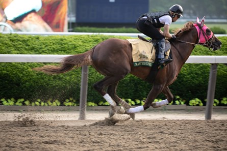 Master Fencer (JPN) - Horse Profile - BloodHorse
