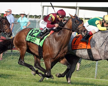 Catholic Boy - Horse Profile - BloodHorse