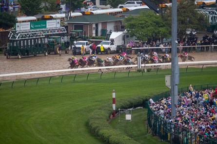 Country House - Horse Profile - BloodHorse