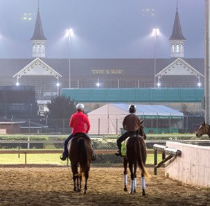 Master Fencer (JPN) - Horse Profile - BloodHorse