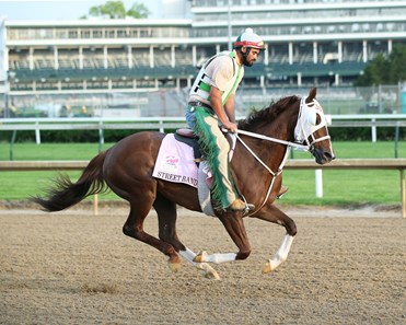 Street Band - Horse Profile - BloodHorse