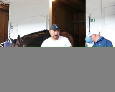 Tax - Horse Profile - BloodHorse