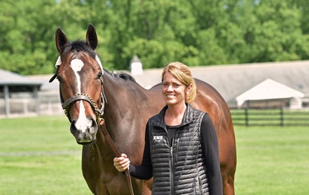 Alwaysmining - Horse Profile - BloodHorse