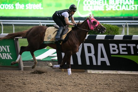 Master Fencer (JPN) - Horse Profile - BloodHorse