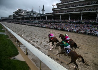 Country House - Horse Profile - BloodHorse