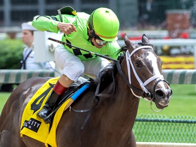 Eight Belles - Horse Profile - BloodHorse