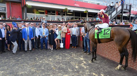 Catholic Boy - Horse Profile - BloodHorse
