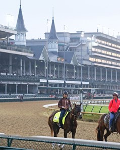 Master Fencer (JPN) - Horse Profile - BloodHorse