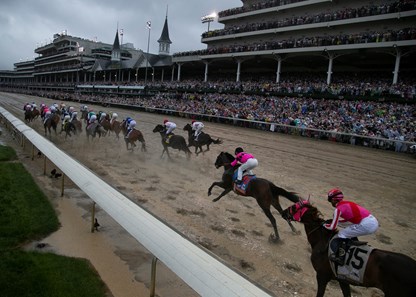 Country House - Horse Profile - BloodHorse