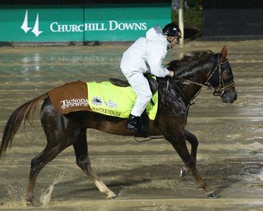 Master Fencer (JPN) - Horse Profile - BloodHorse