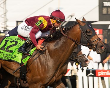 Catholic Boy - Horse Profile - BloodHorse