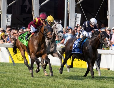 Catholic Boy - Horse Profile - BloodHorse
