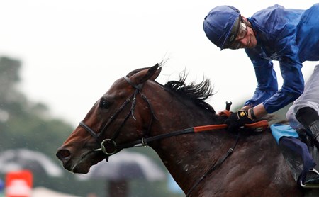 Blue Point (IRE) - Horse Profile - BloodHorse