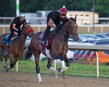 Catholic Boy - Horse Profile - BloodHorse