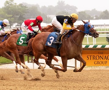 Whirlin Curlin - Horse Profile - BloodHorse