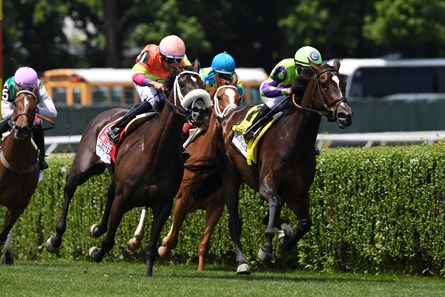 Rushing Fall - Horse Profile - BloodHorse