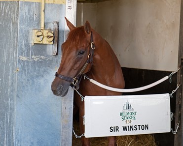 Sir Winston - Horse Profile - BloodHorse