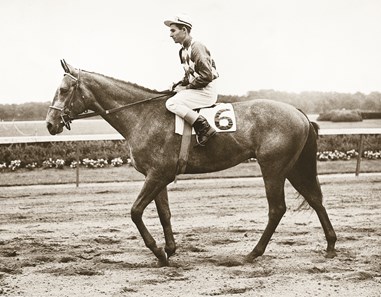 Native Dancer - Horse Profile - BloodHorse