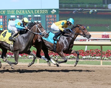 Lady Stella - Horse Profile - BloodHorse